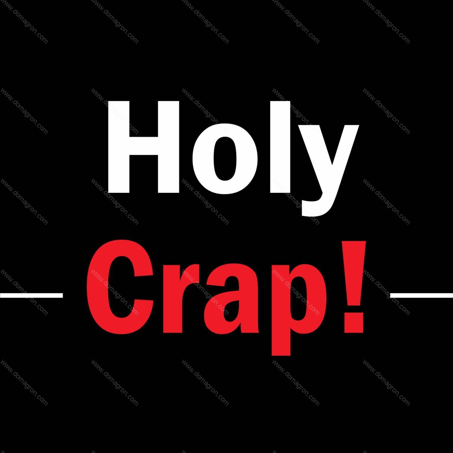 Holy Crap Direct to Film (DTF) Heat Transfer S-245 – DOMAGRON