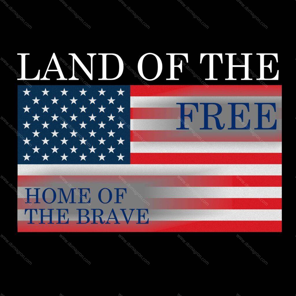 Land Of The Free Home Of The Brave Direct to Film (DTF) Heat Transfer U ...