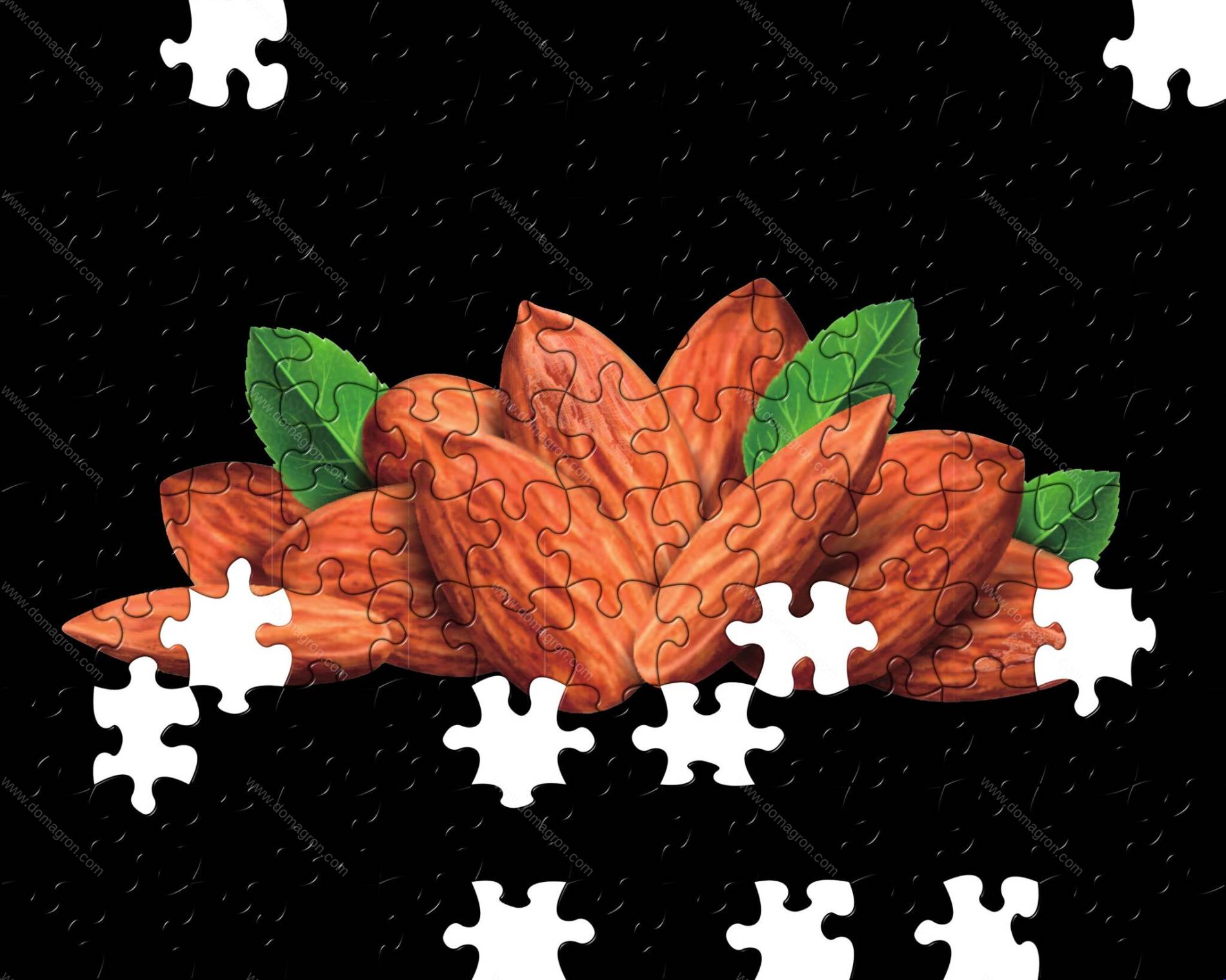 Nuts Jigsaw Puzzle – DOMAGRON