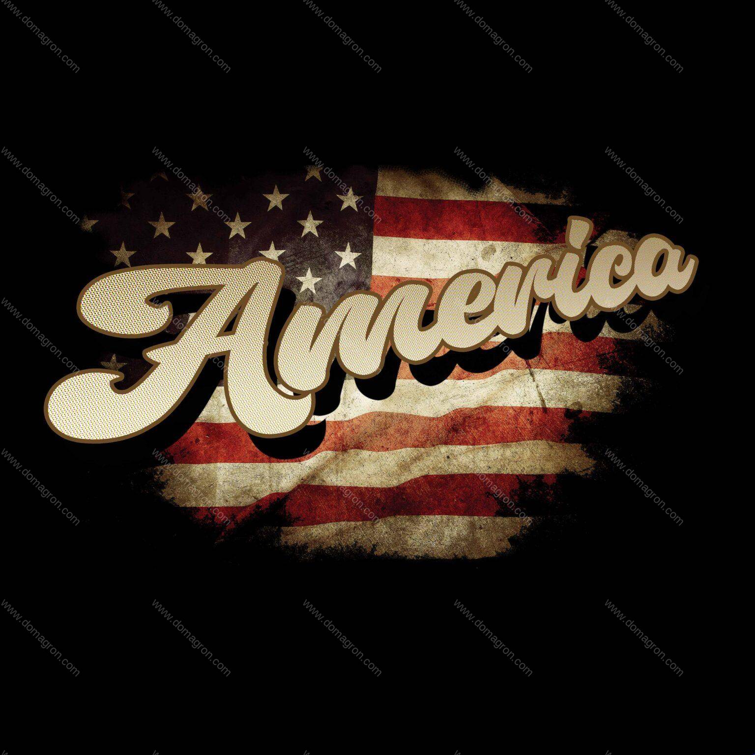Vintage American Flag America Direct to Film (DTF) Heat Transfer U-5 ...