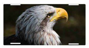 American Bald Eagle License Plate – DOMAGRON
