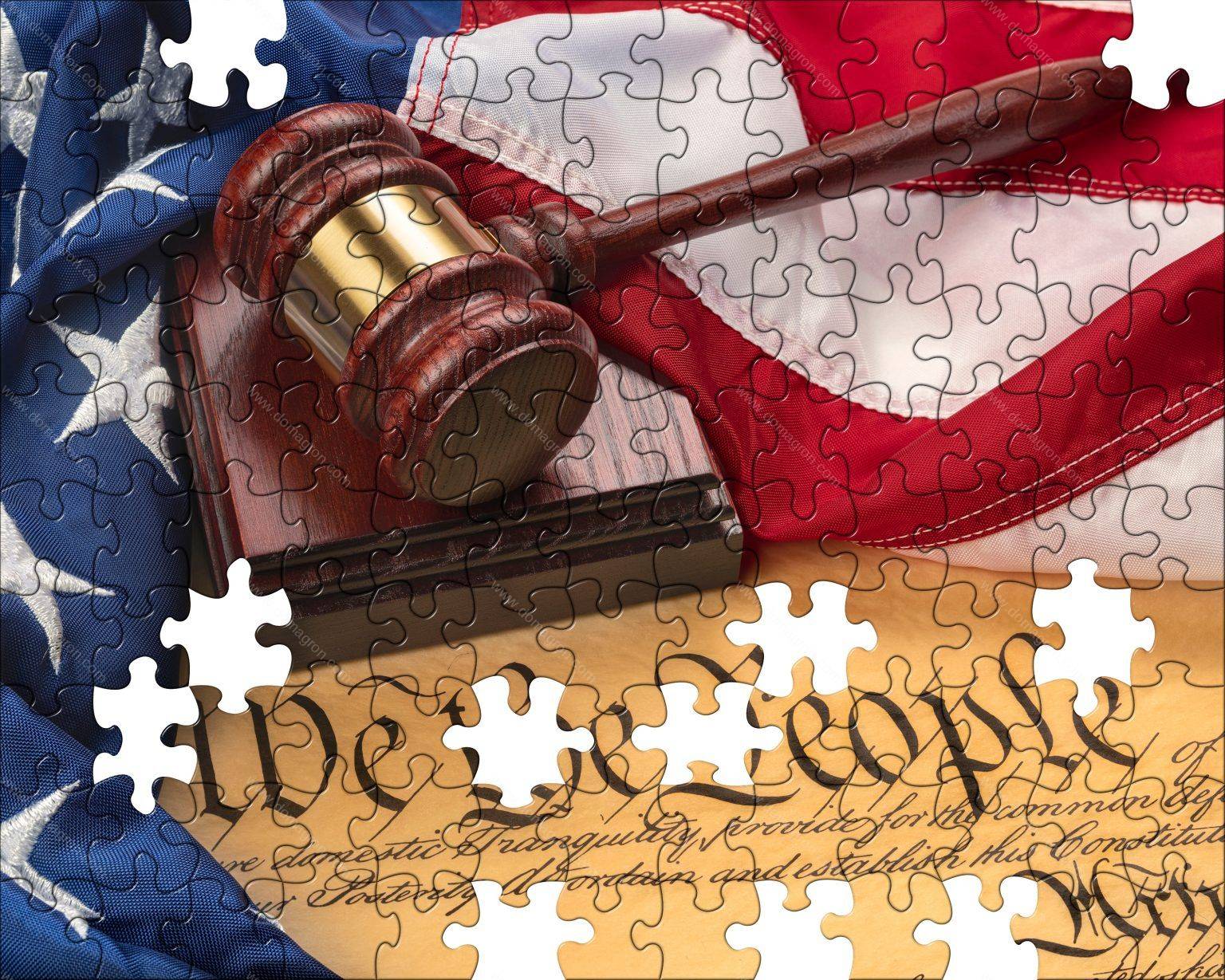 We The People Judicial Puzzle – DOMAGRON