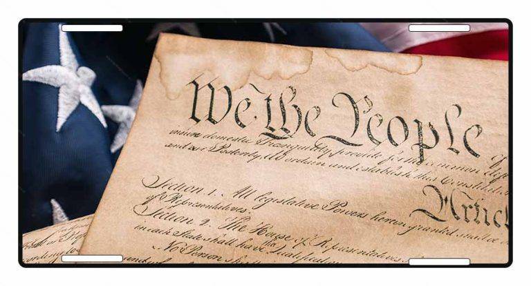 We The People License Plate – DOMAGRON
