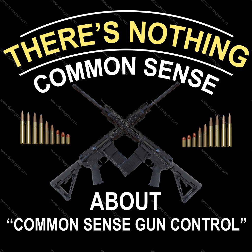 There’s No Common Sense in Common Sense Gun Control Direct to Film (DTF ...