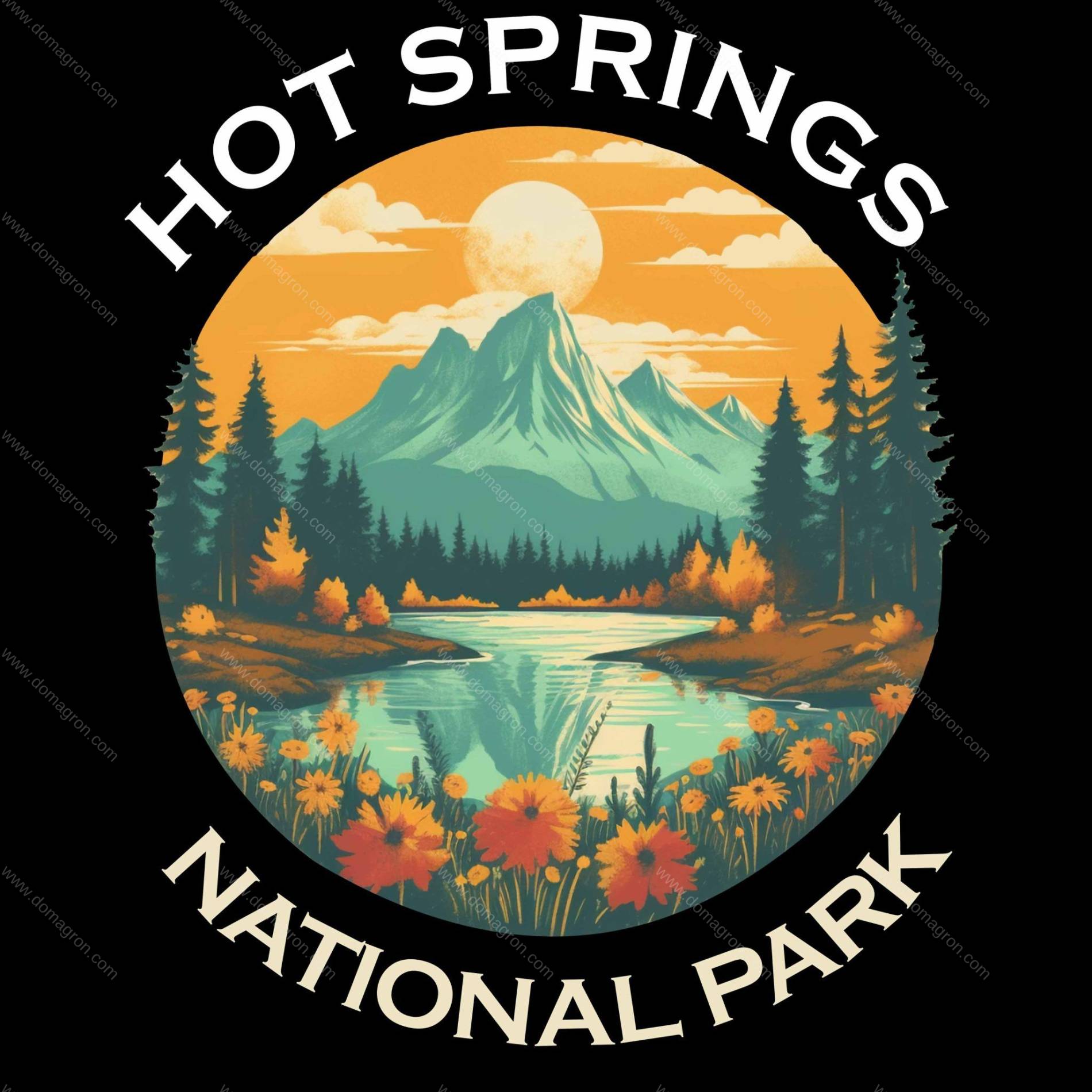 Hot Springs National Park Direct to Film (DTF) Heat Transfer K-559 ...