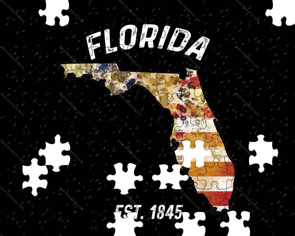 50 States Jigsaw Puzzle – Florida – DOMAGRON