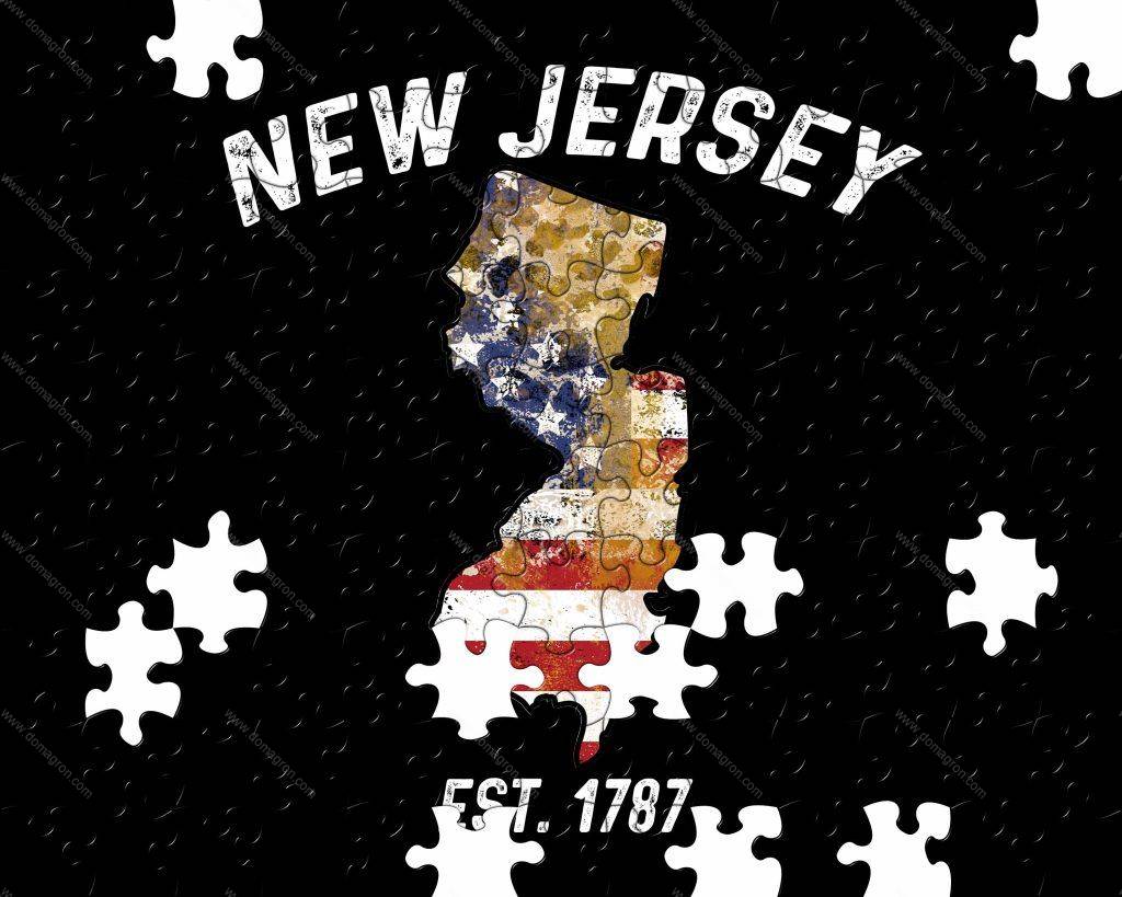 50 States Jigsaw Puzzle – New Jersey – DOMAGRON