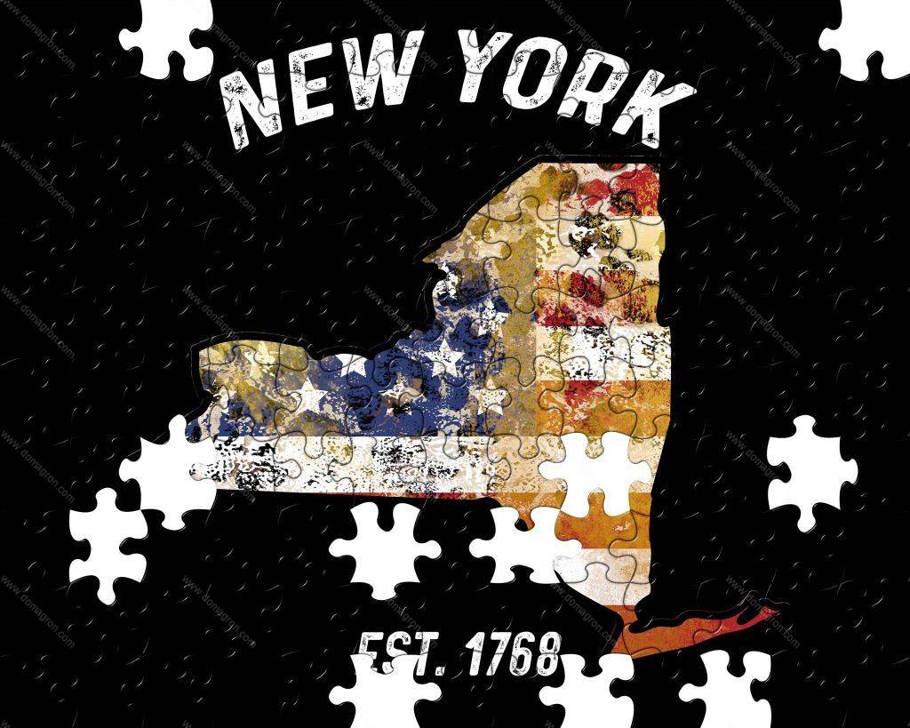 New York State Puzzle
