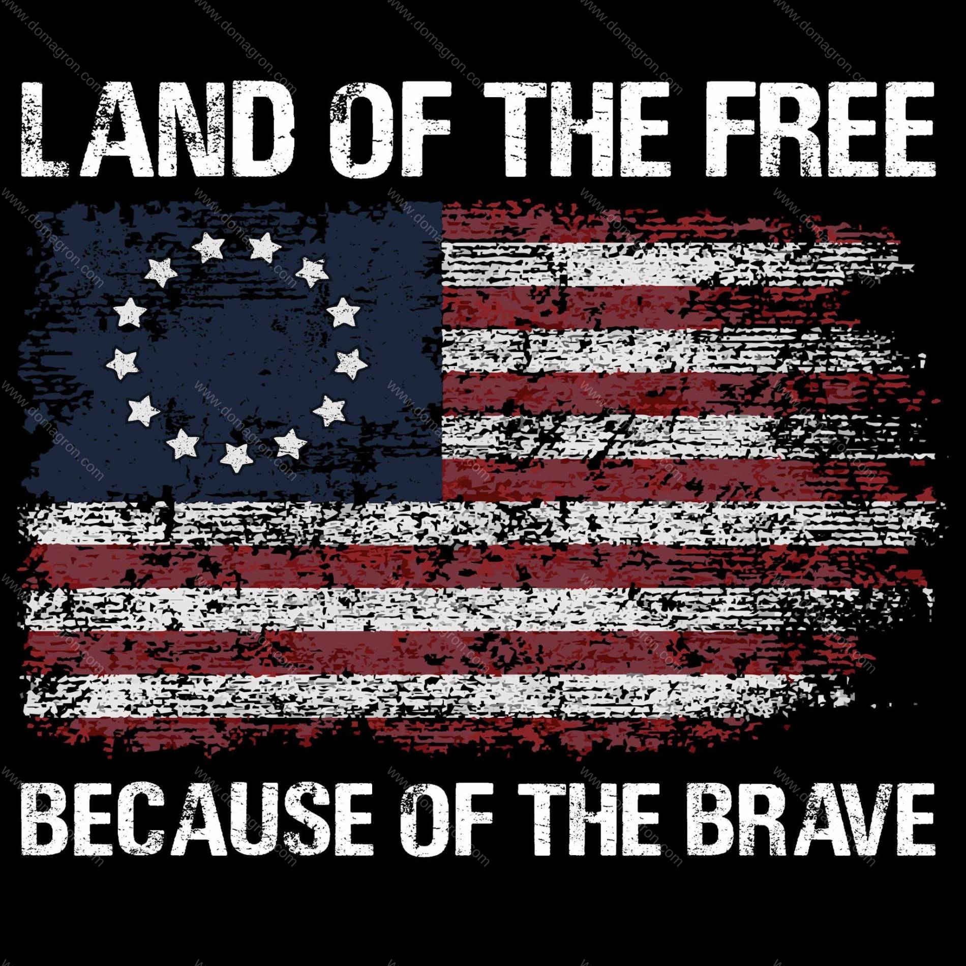 Land Of The Free Because Of The Brave Direct to Film (DTF) Heat ...