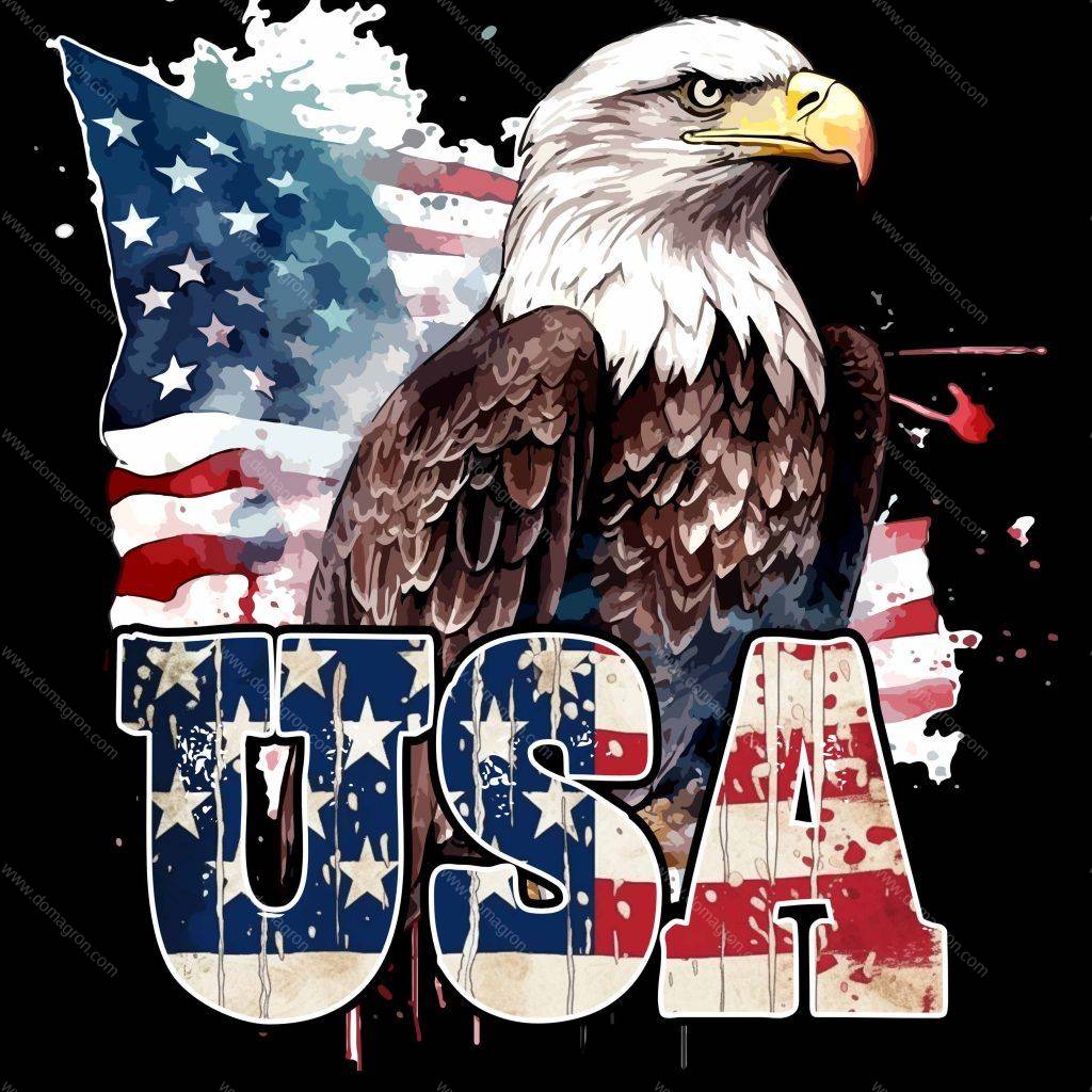 US Eagle Patriotic Direct to Film (DTF) Heat Transfer U-735 – DOMAGRON